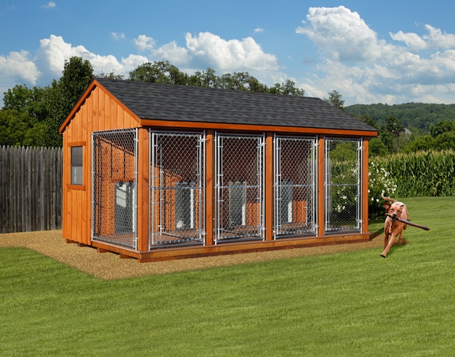 Dog Kennel Business Gets An Online Facelift ShedBuilder Magazine Dog Kennel Business Gets An Online Facelift ShedBuilder Magazine